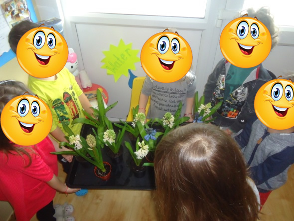 Our values – Sunny Day Care